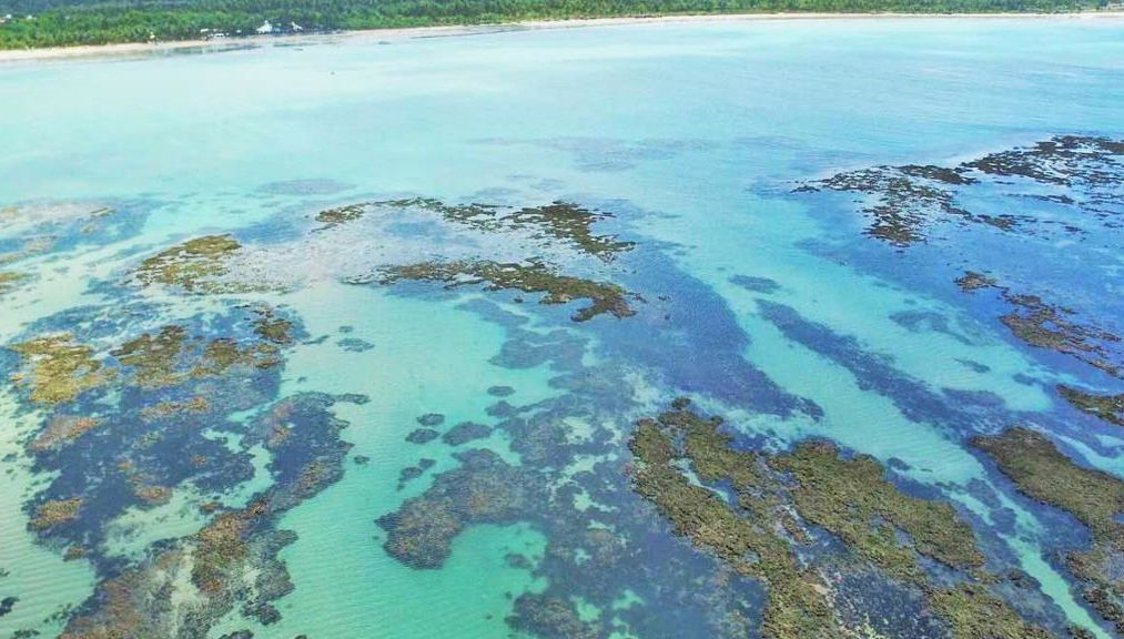 Tour en Angra de Ipioca, Maceió - Central de Reservas