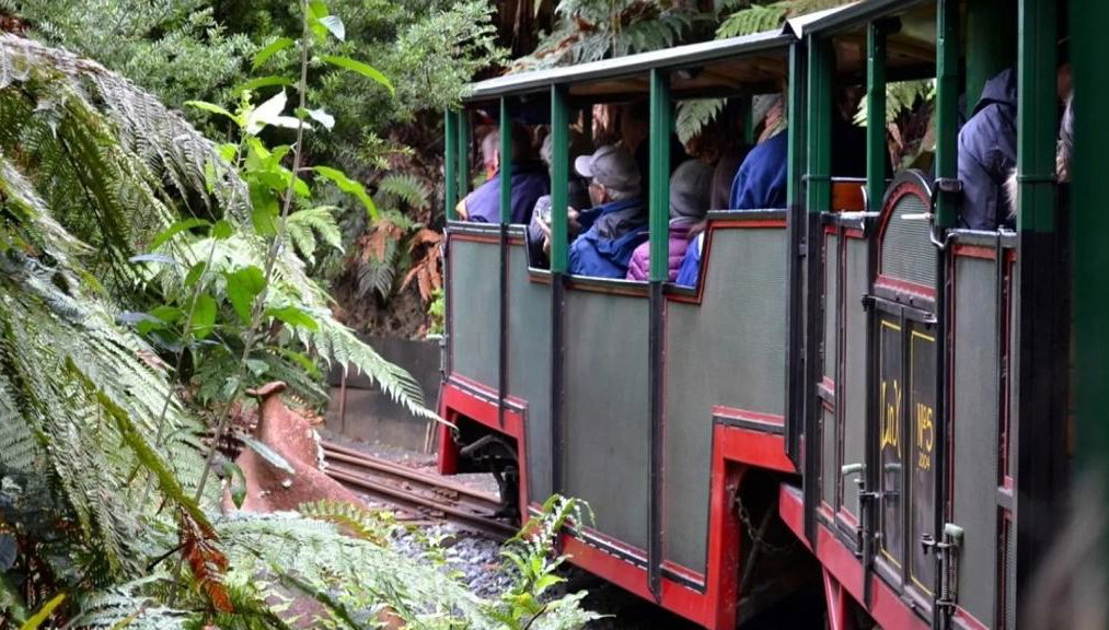 Coromandel Day Tour, Auckland - Central de Reservas
